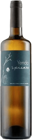 Yenda Spicata