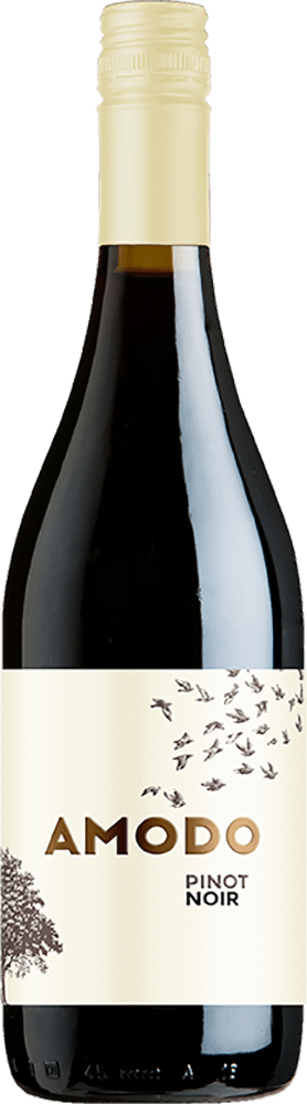 Amodo Pinot Noir