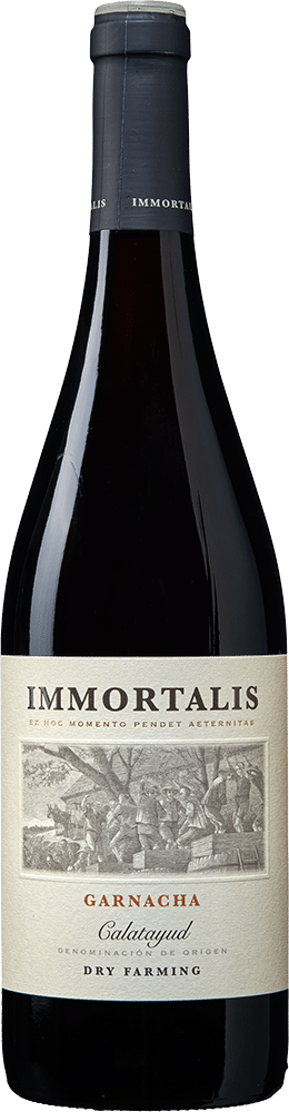 Colaris - De Grote Hamersma